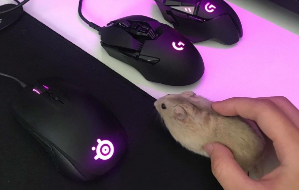 Các tư thế cầm chuột “chuẩn game thủ” mà bạn có thể tham khảo