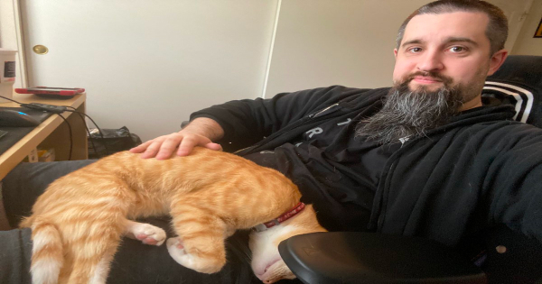 Đấu Trường Chân Lý: Riot Mortdog chỉ ra sự khác biệt giữa các Huyền ...